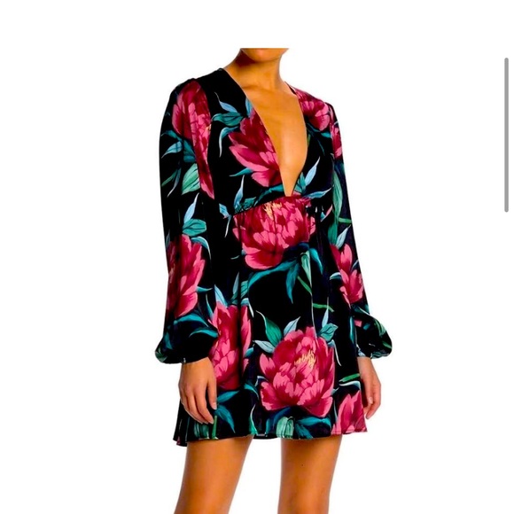 Show Me Your MuMu | Dresses | Show Me Your Mumu Dakota Mini Dress Ruby ...
